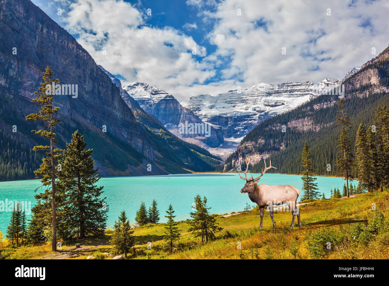 Red deer valley -Fotos und -Bildmaterial in hoher Auflösung – Alamy
