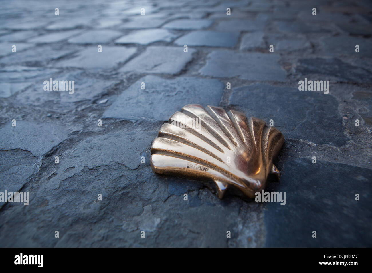 St james shell -Fotos und -Bildmaterial in hoher Auflösung – Alamy