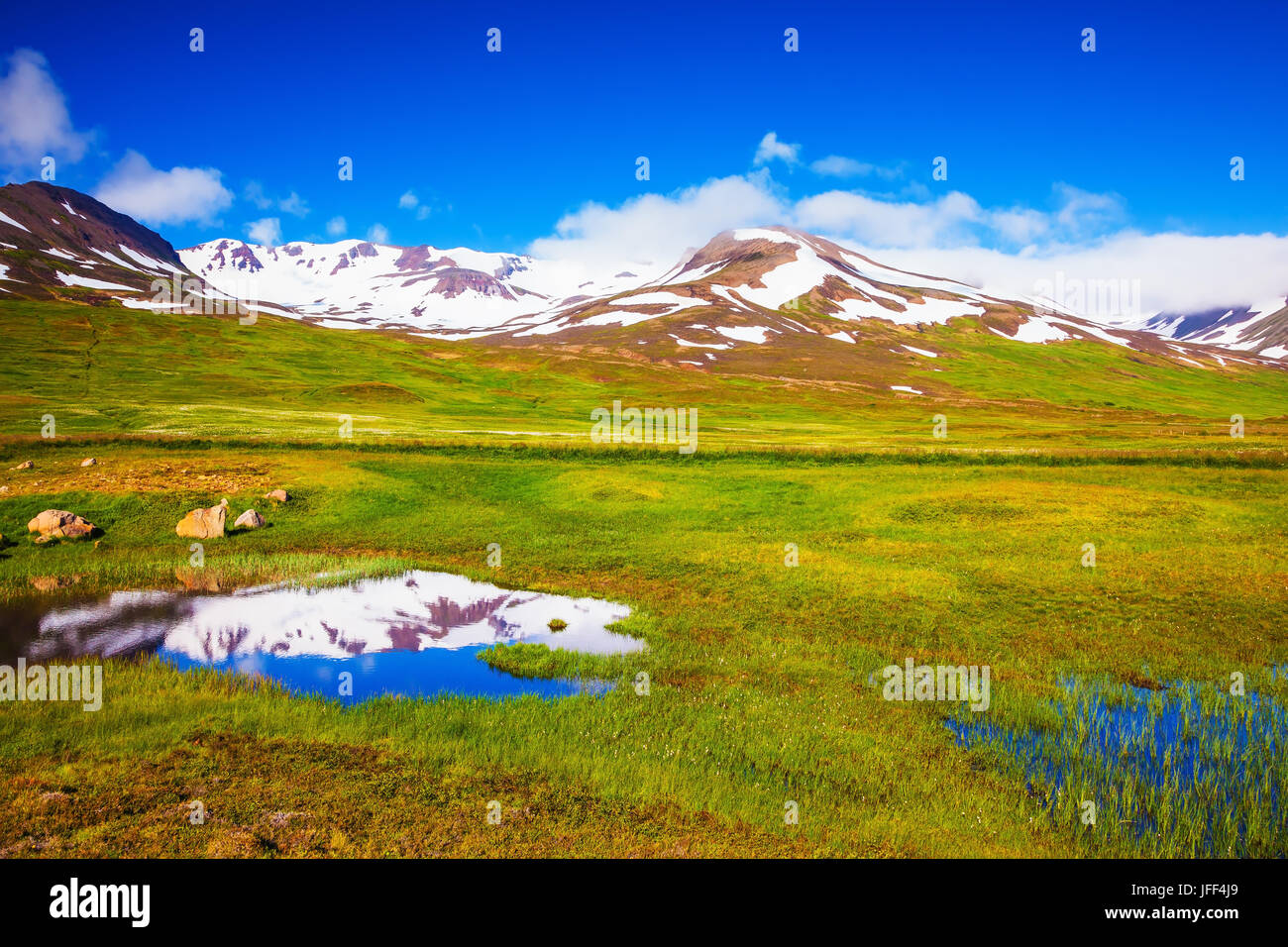 Gras rund um den teich -Fotos und -Bildmaterial in hoher Auflösung – Alamy