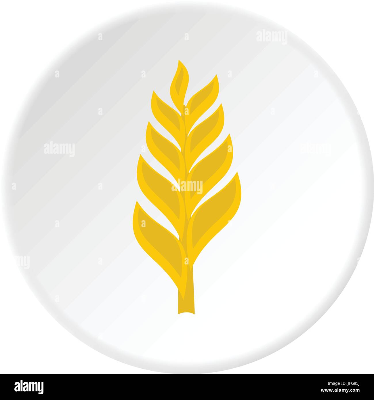 Eine spica -Fotos und -Bildmaterial in hoher Auflösung – Alamy