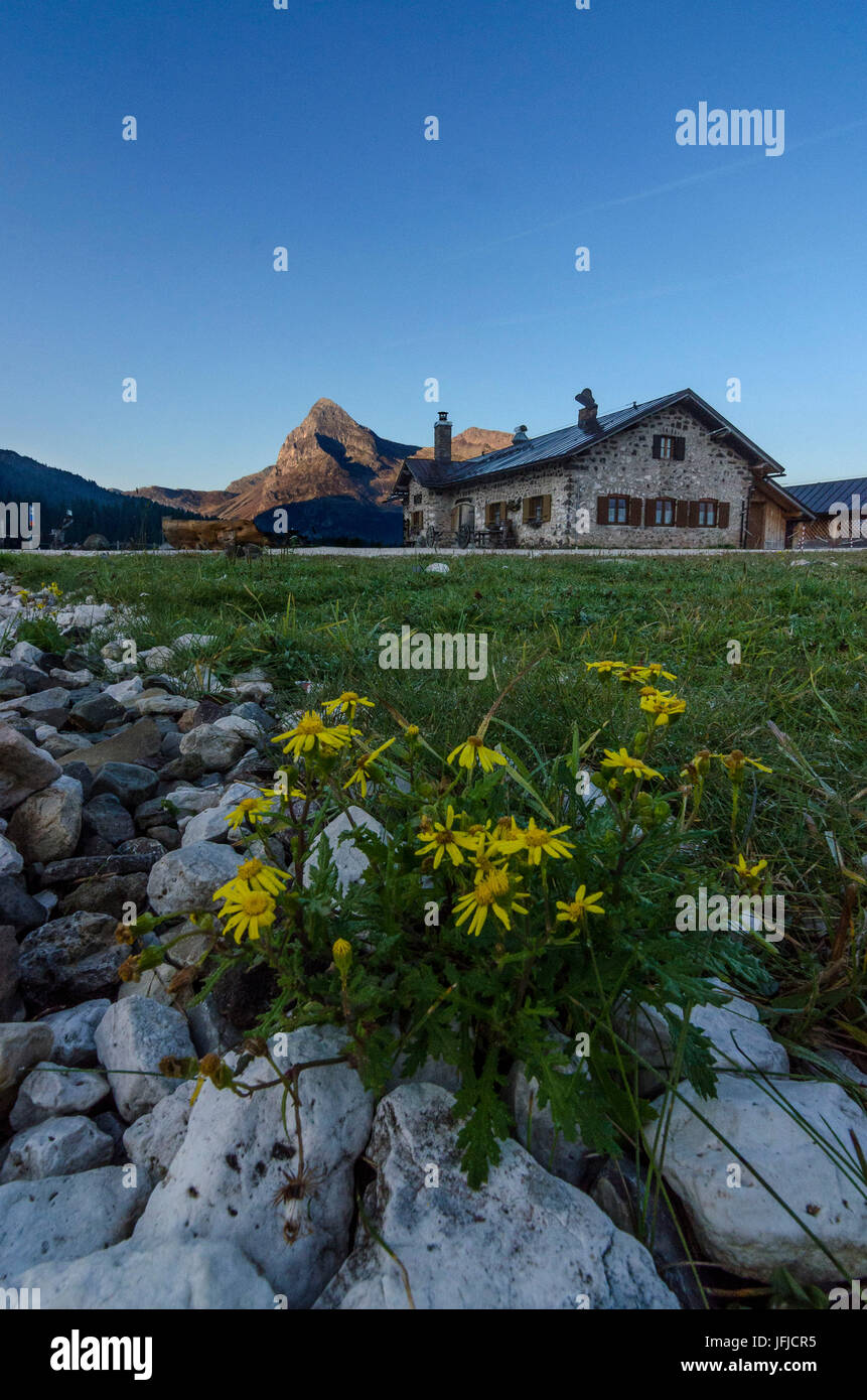 Passo rolle südtirol -Fotos und -Bildmaterial in hoher Auflösung – Alamy