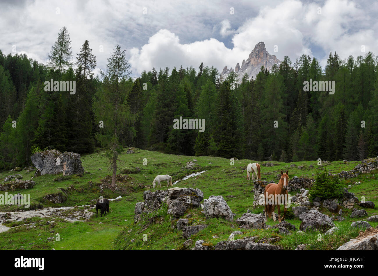 Croda da Lago, Becco di Mezzodi, Cortina d ' Ampezzo, Dolomiten ...