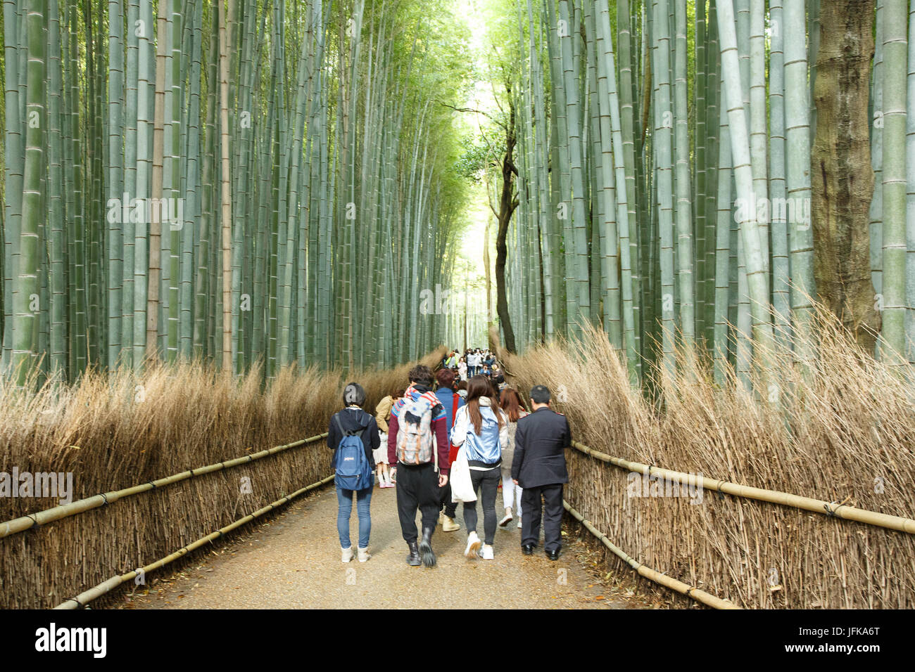 Kyoto bamboo forest -Fotos und -Bildmaterial in hoher Auflösung – Alamy