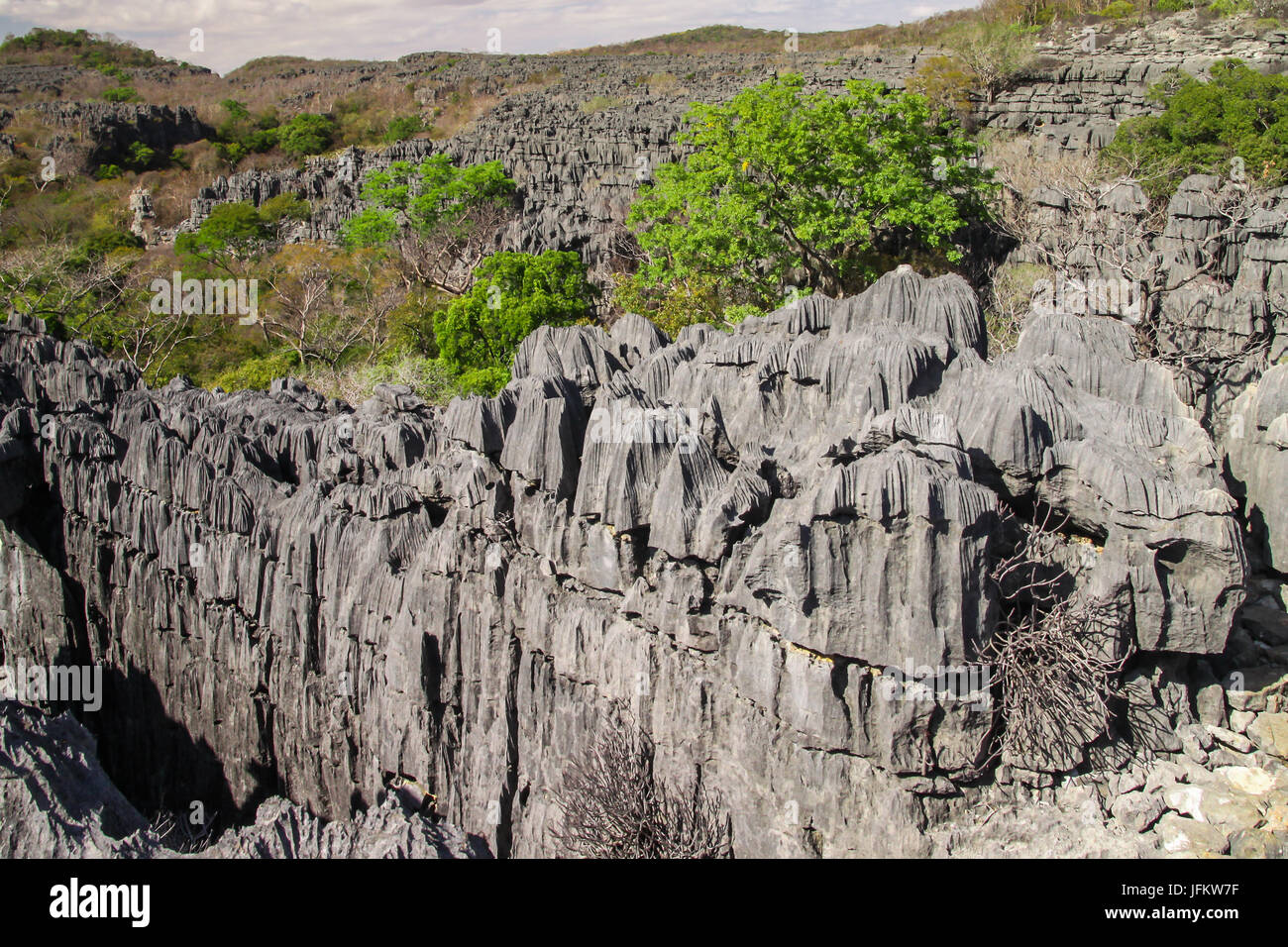 Tsingy nationalpark -Fotos und -Bildmaterial in hoher Auflösung – Alamy