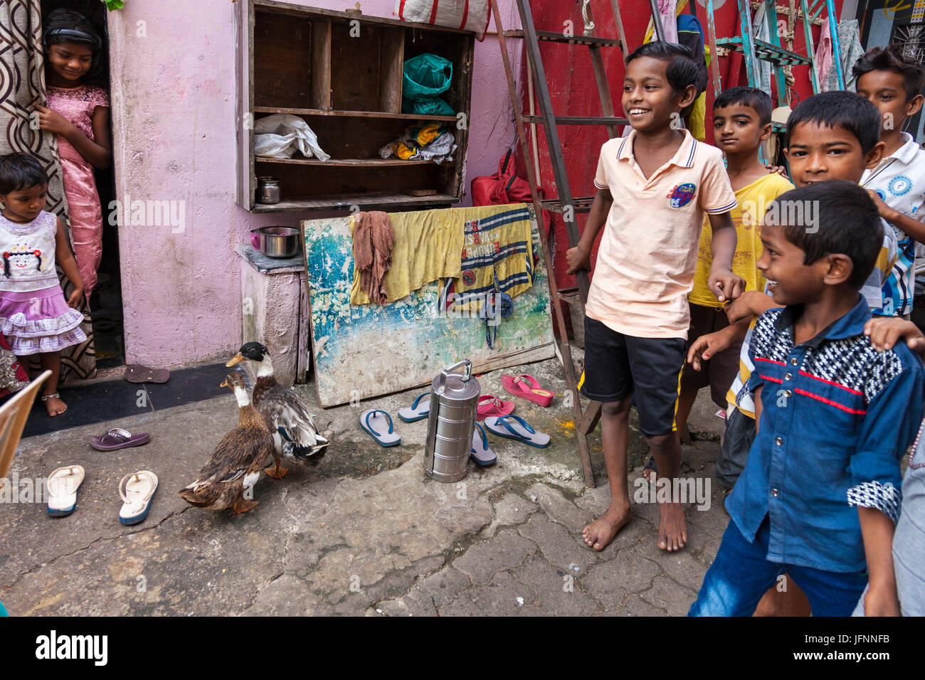 Lebensbedingungen indien -Fotos und -Bildmaterial in hoher Auflösung ...