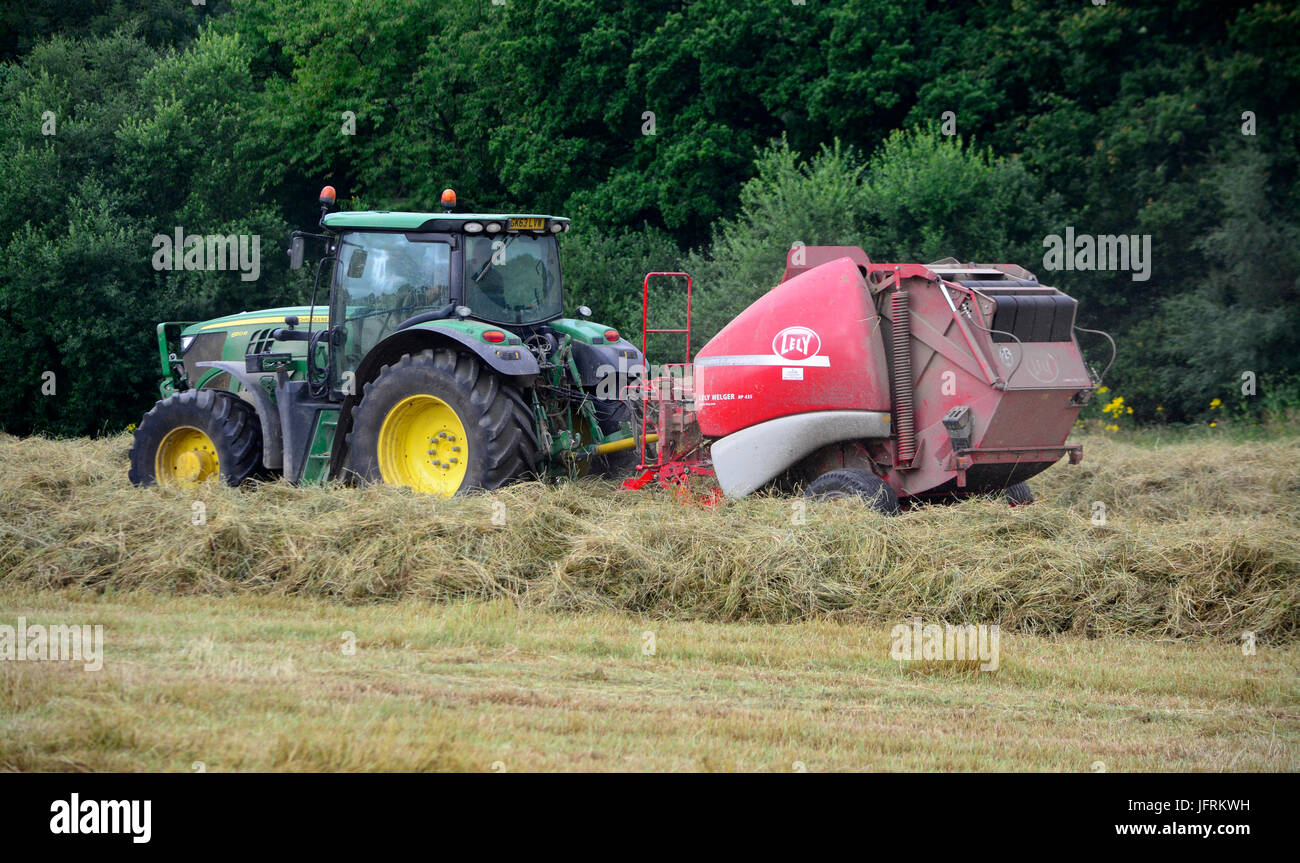 Futter Einbringen Stockfotos und -bilder Kaufen - Alamy