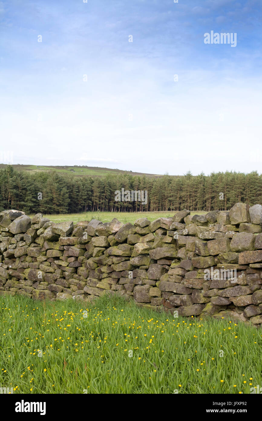 Yorkshire dales trockenmauerwerk -Fotos und -Bildmaterial in hoher ...