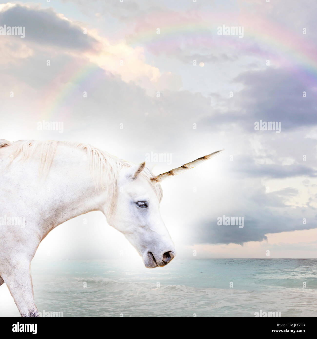 Mystisches einhorn -Fotos und -Bildmaterial in hoher Auflösung – Alamy