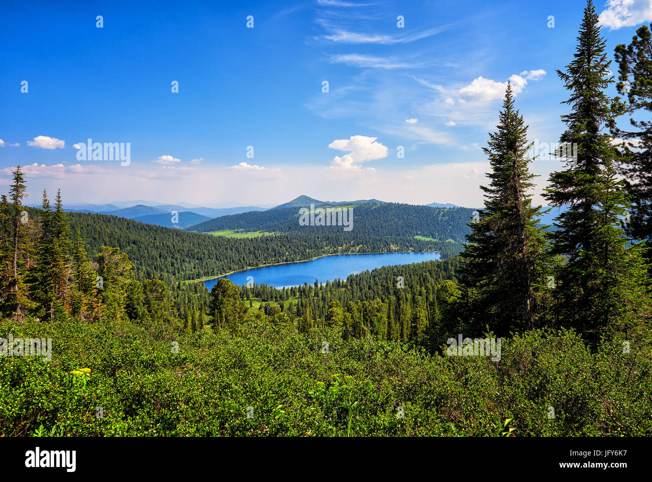 Dunkler see im wald -Fotos und -Bildmaterial in hoher Auflösung – Alamy