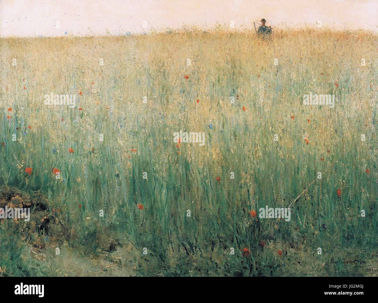 Karl lager feld -Fotos und -Bildmaterial in hoher Auflösung – Alamy