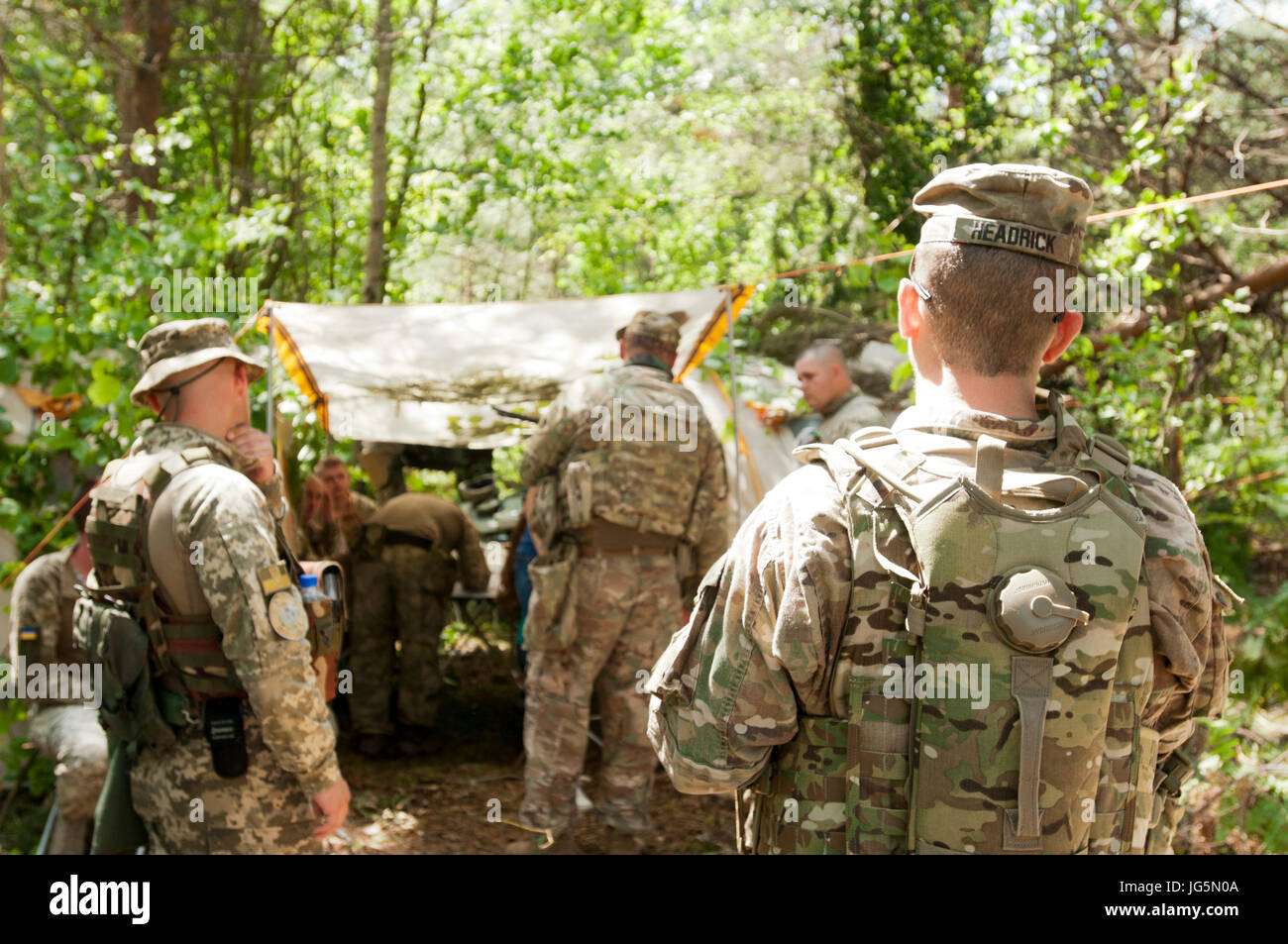 29 ibct -Fotos und -Bildmaterial in hoher Auflösung – Alamy