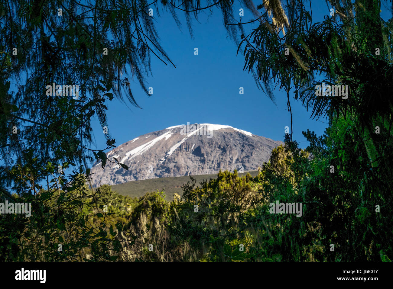 Mt kilimanjaro view kibo peak -Fotos und -Bildmaterial in hoher ...