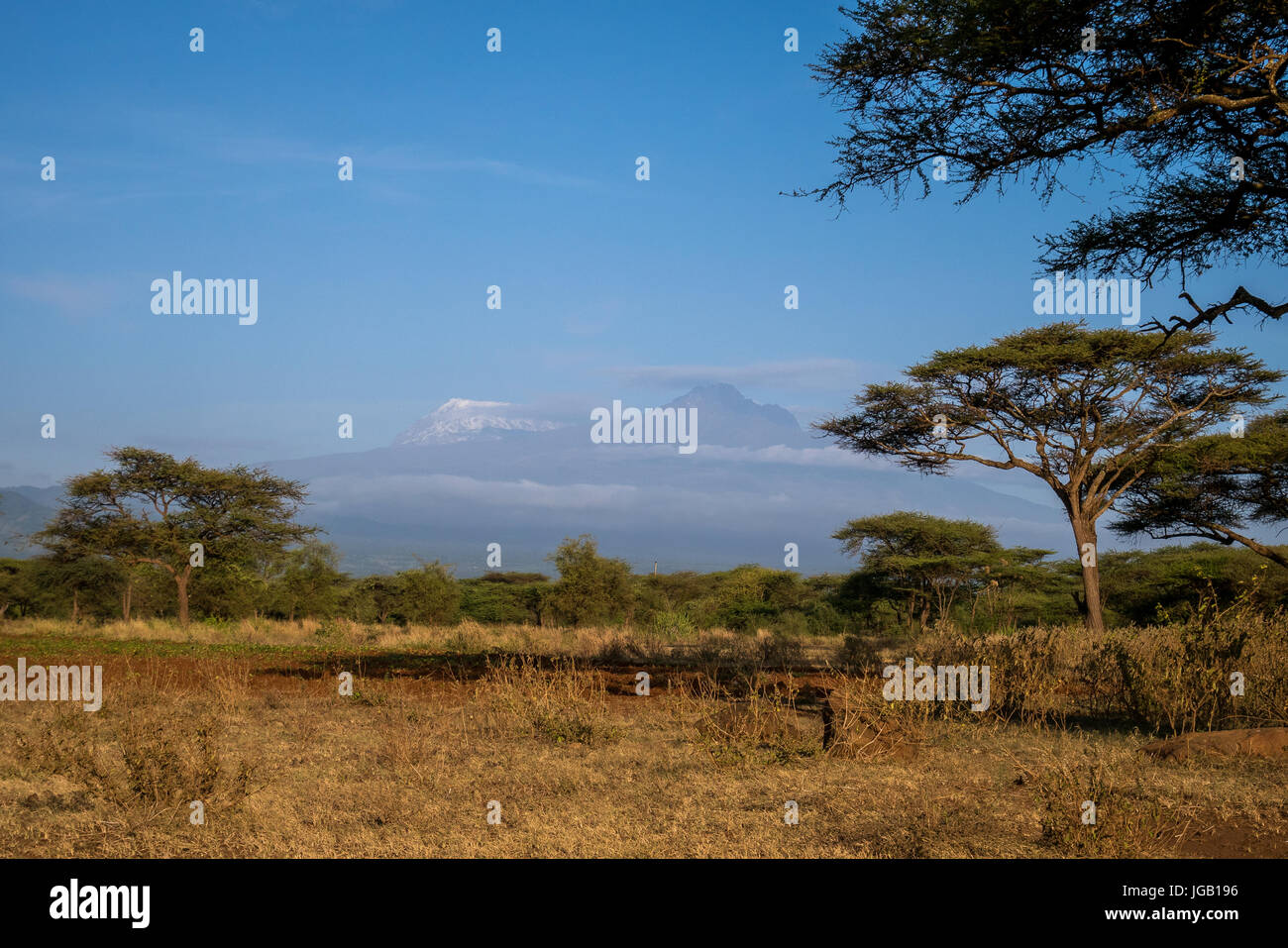 Mt kilimanjaro view kibo peak -Fotos und -Bildmaterial in hoher ...