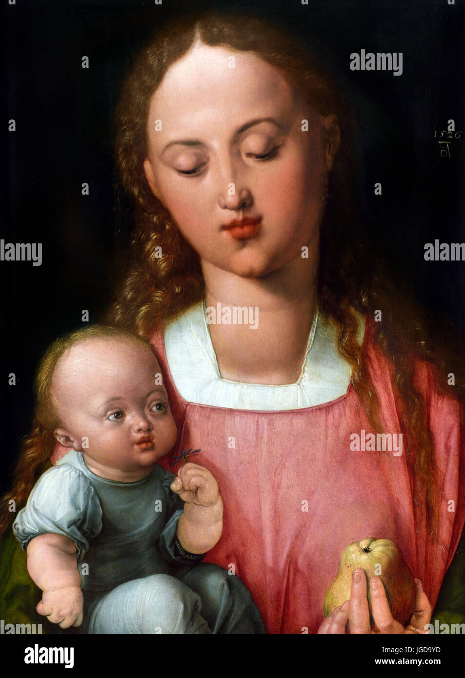 Albrecht dürer madonna kind -Fotos und -Bildmaterial in hoher Auflösung – Alamy