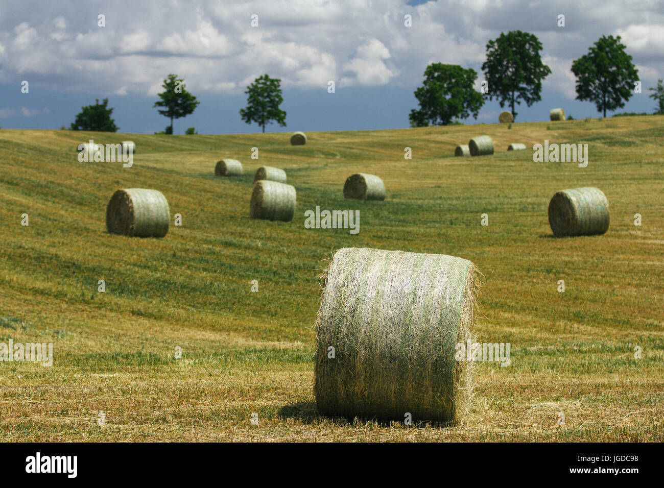 Rollende ballen -Fotos und -Bildmaterial in hoher Auflösung – Alamy
