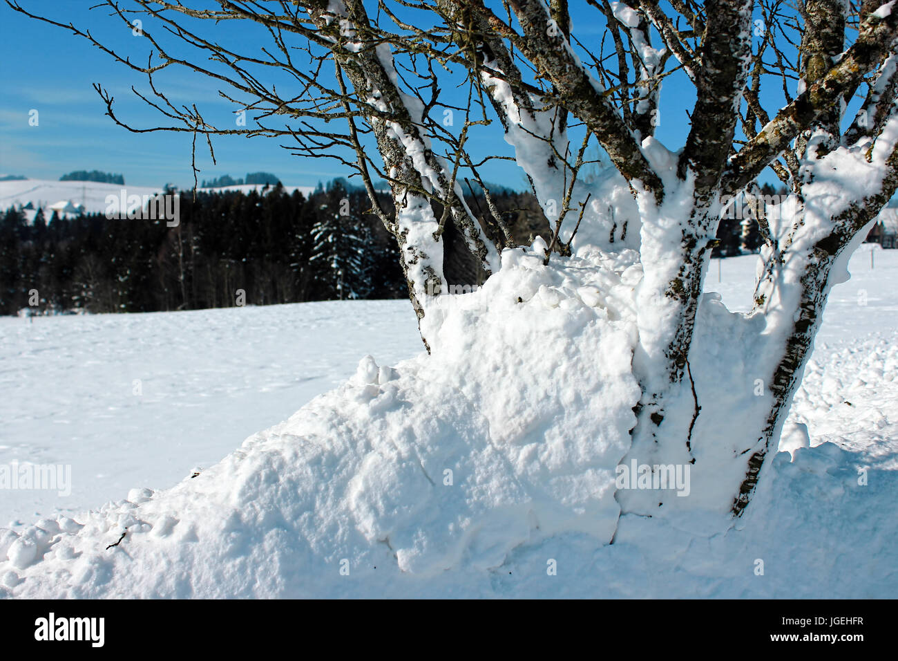 Breitnau -Fotos und -Bildmaterial in hoher Auflösung – Alamy