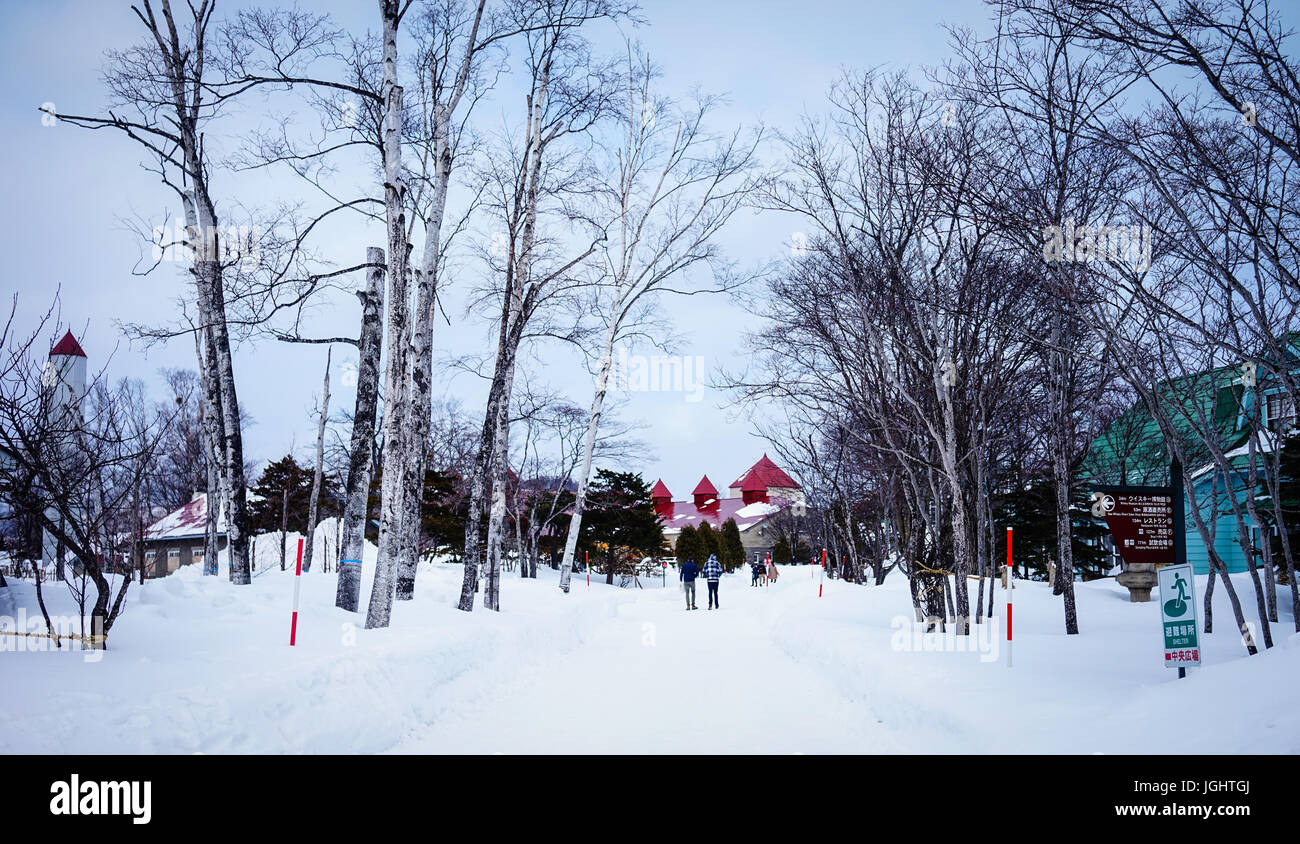 Yoichi, Japan - 4. Februar 2015. Passanten auf der Straße von Schnee im ...