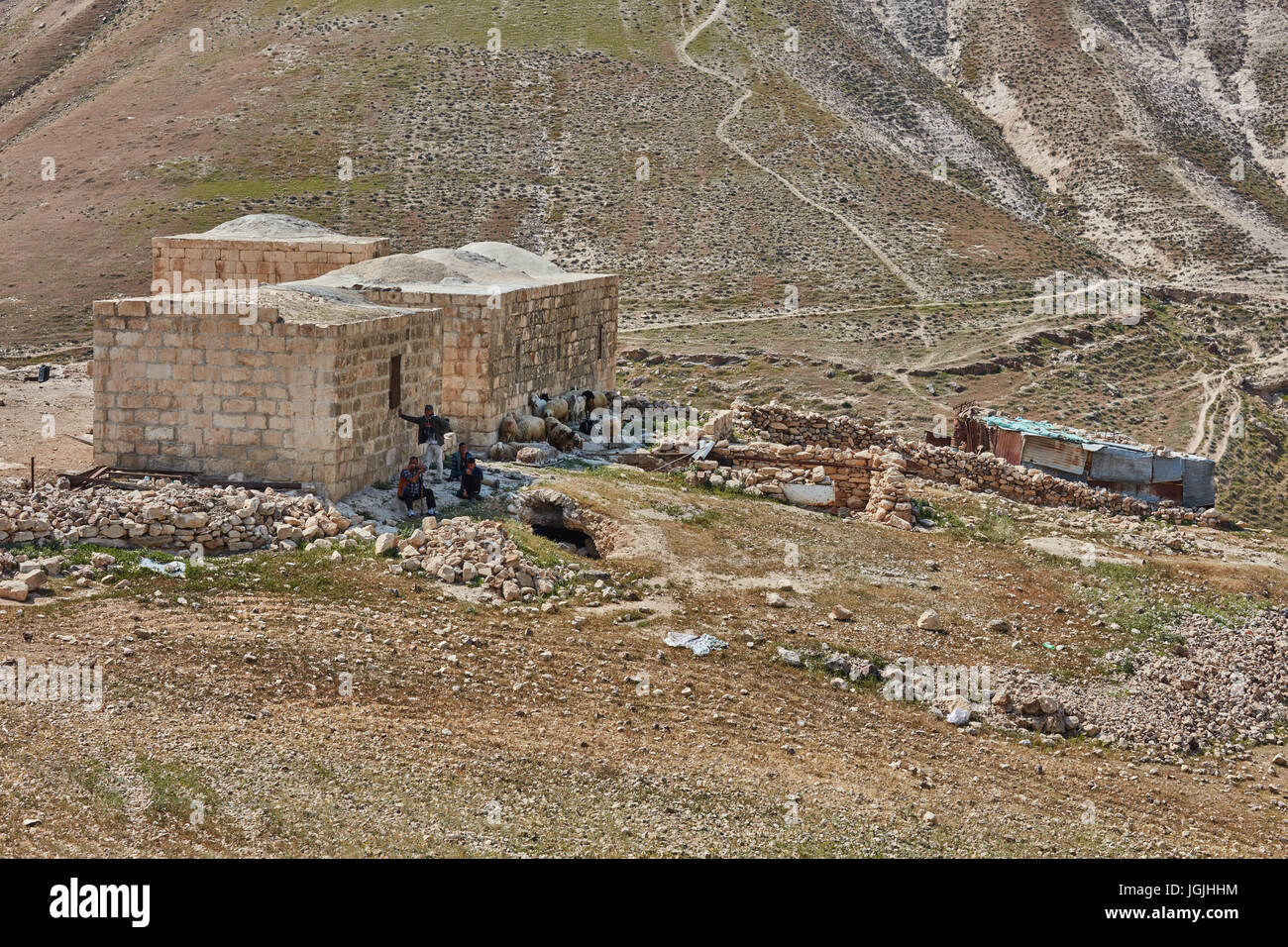 Negev leben -Fotos und -Bildmaterial in hoher Auflösung – Alamy