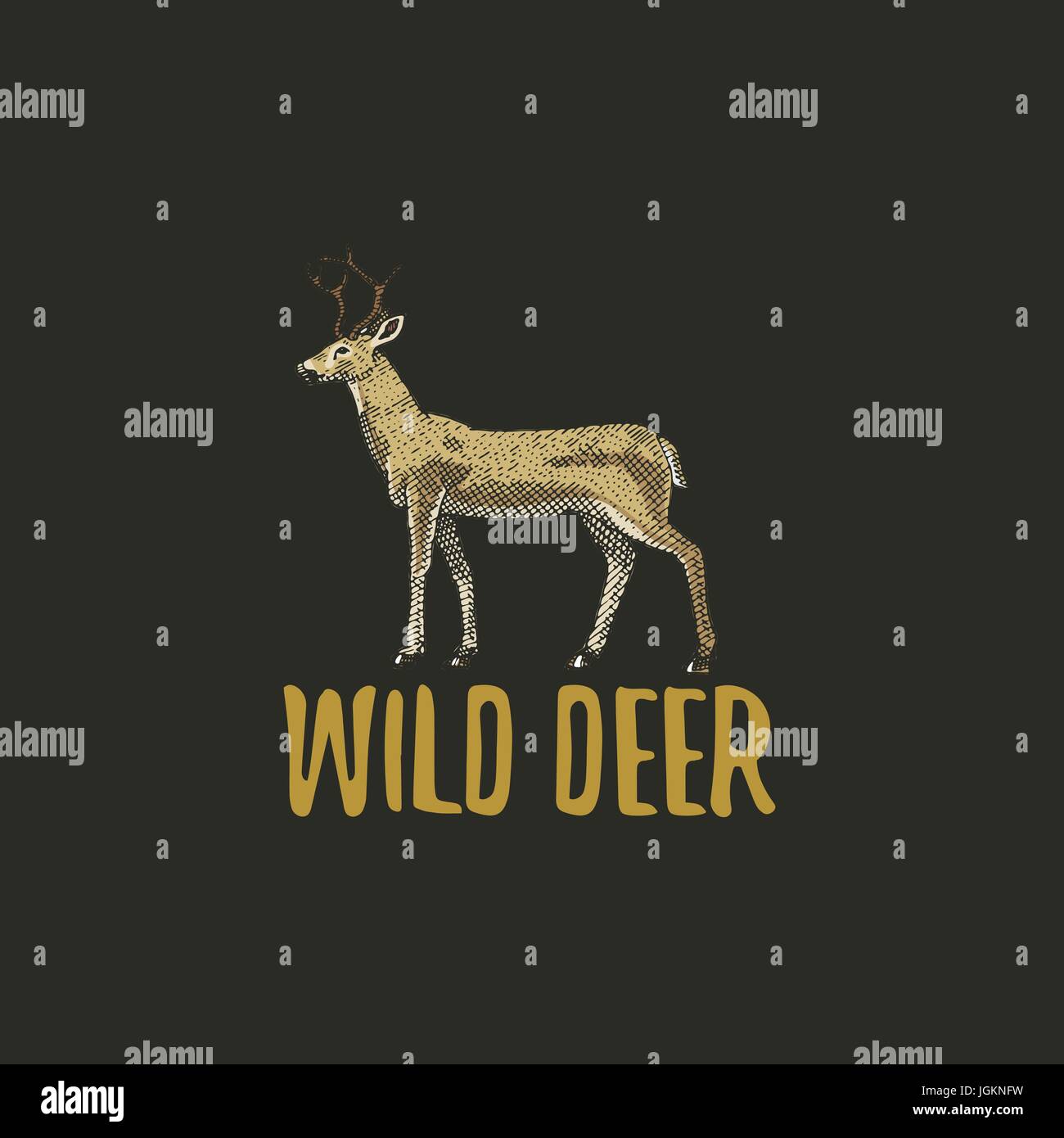 Schwarzwild graviert Hand im alten Stil Sketch, Vintage Tiere ...