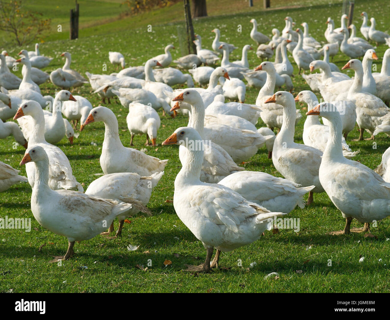 Offene bodenpositionen -Fotos und -Bildmaterial in hoher Auflösung – Alamy