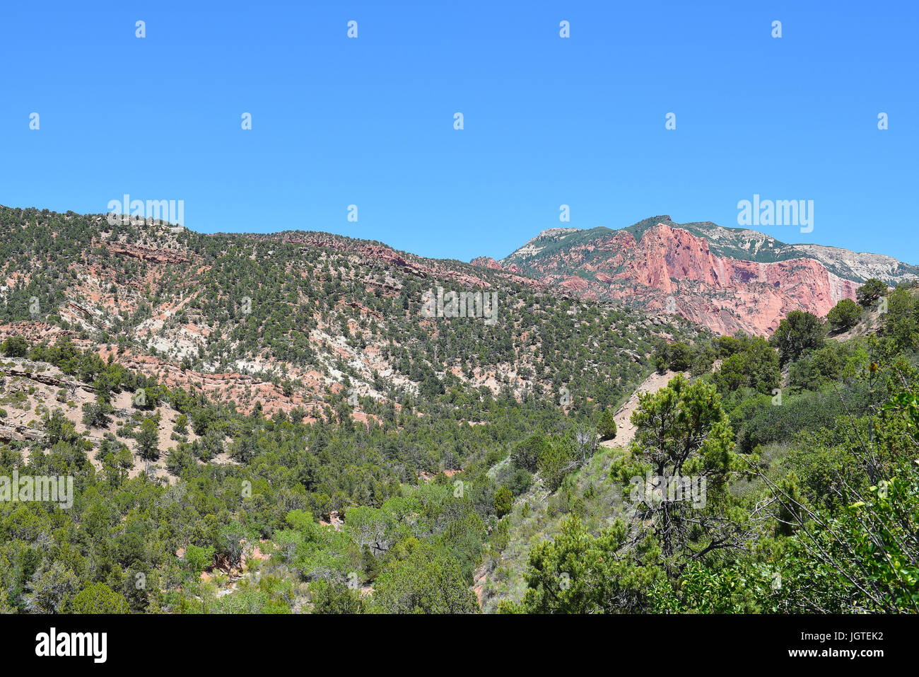Schluchten in zion -Fotos und -Bildmaterial in hoher Auflösung – Alamy