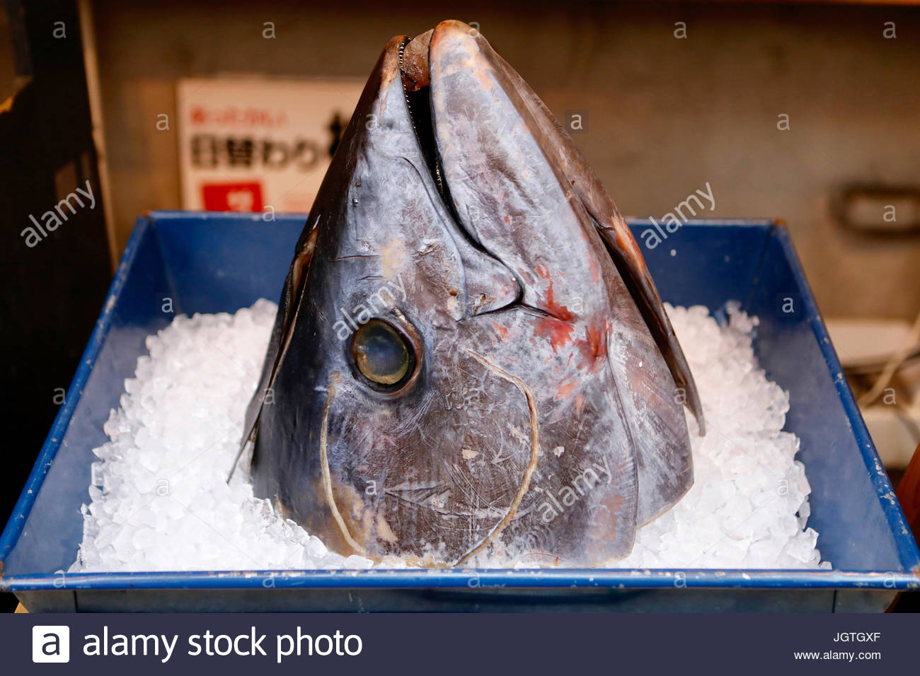 Thunfisch Tier Stockfotos & Thunfisch Tier Bilder - Alamy