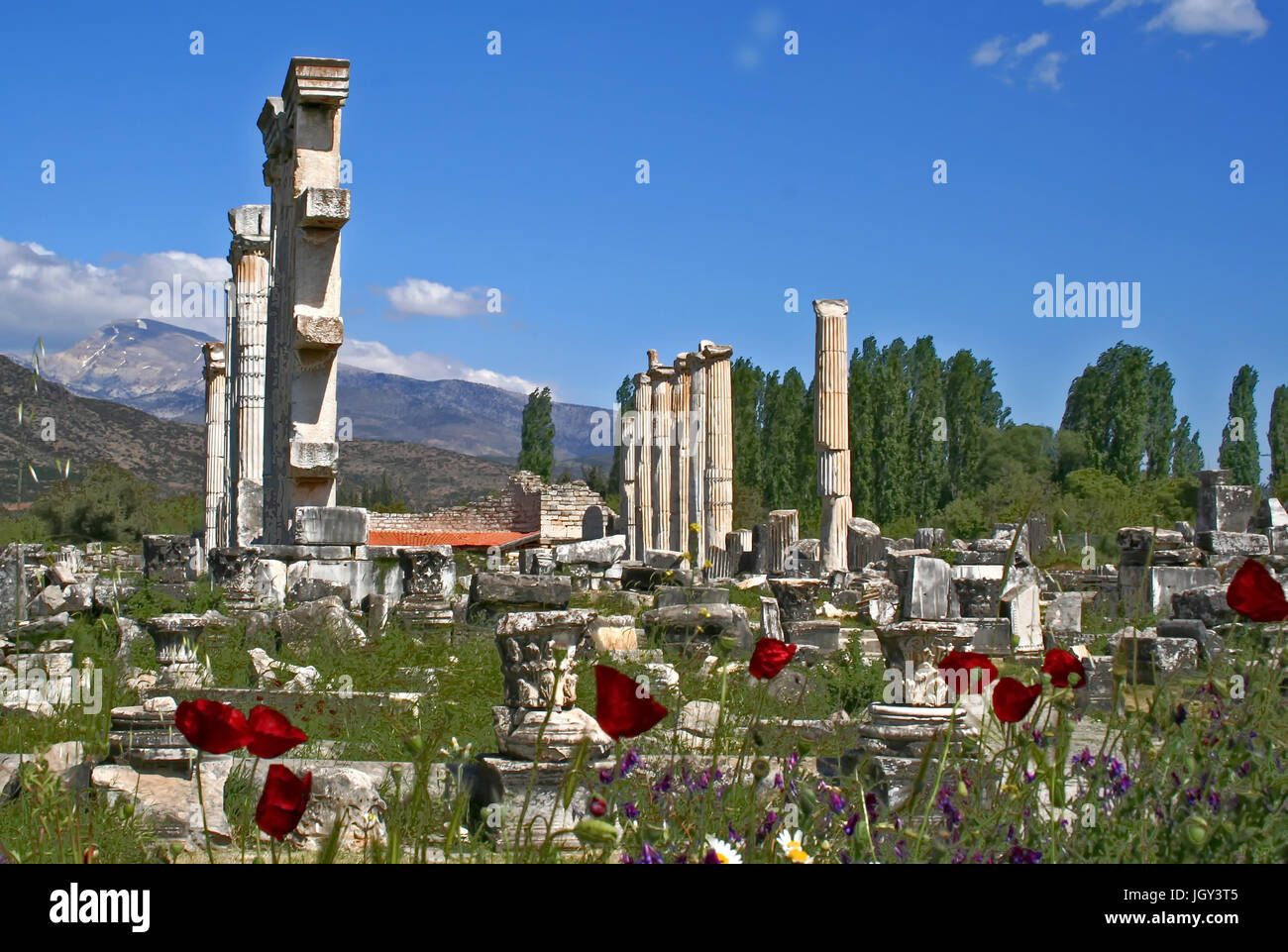 Antike göttin aphrodite -Fotos und -Bildmaterial in hoher Auflösung – Alamy