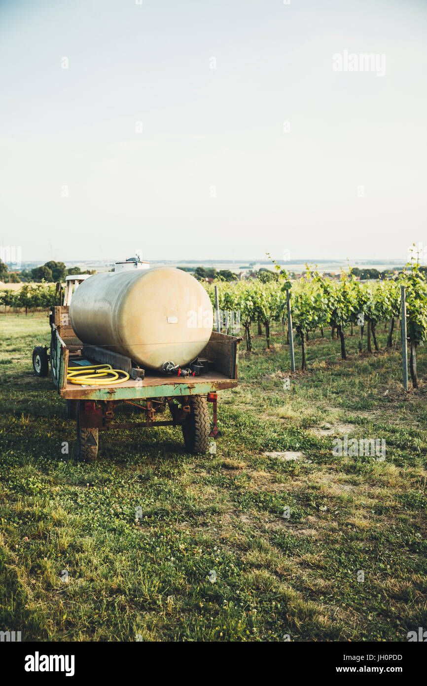 Verdunsten am Weinberg, Weinviertel, Österreich Stockfotografie - Alamy