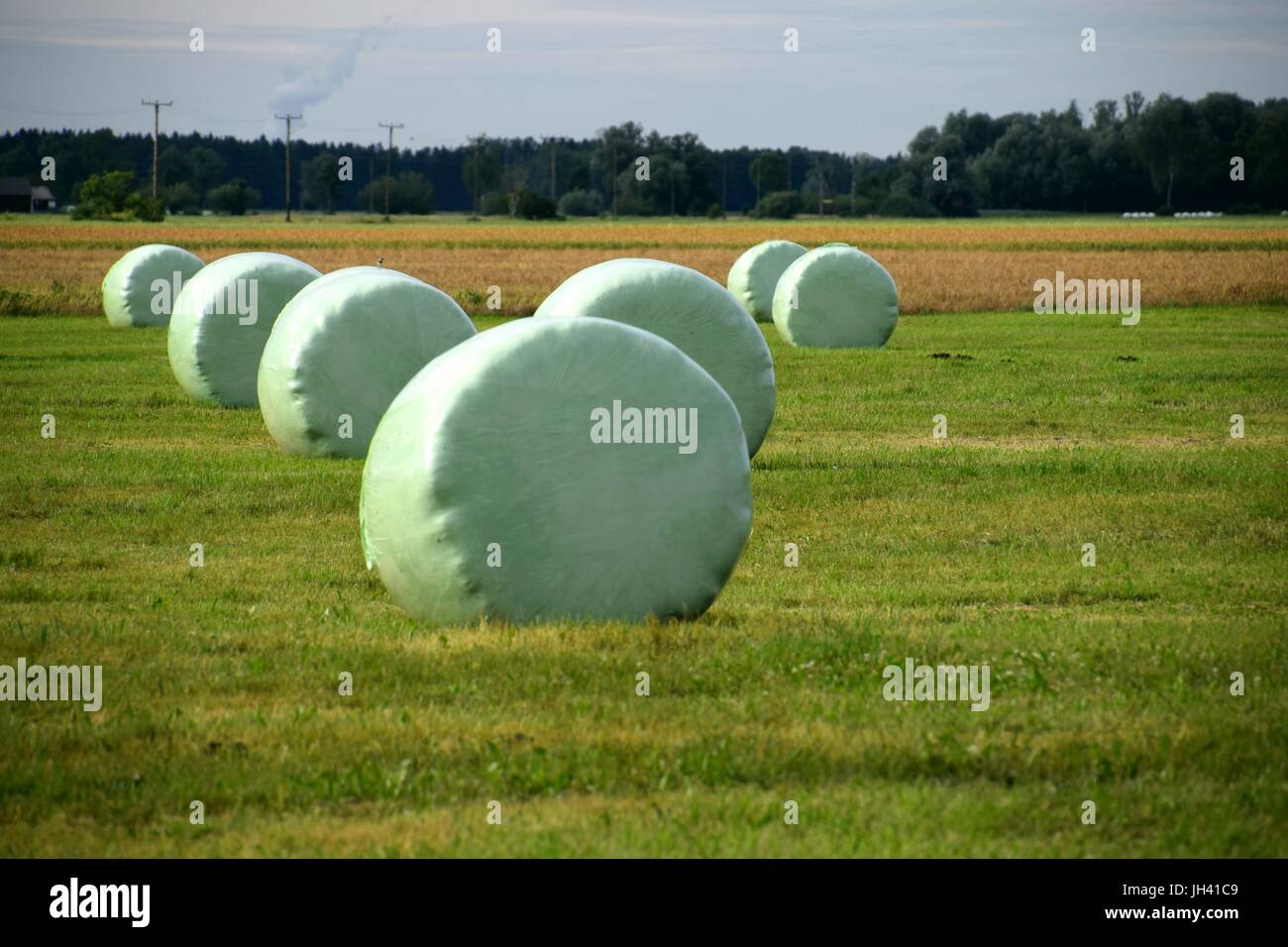 Ländliche Idylle, Silage Kugeln, Grassilage, Maissilage, Silageballen ...