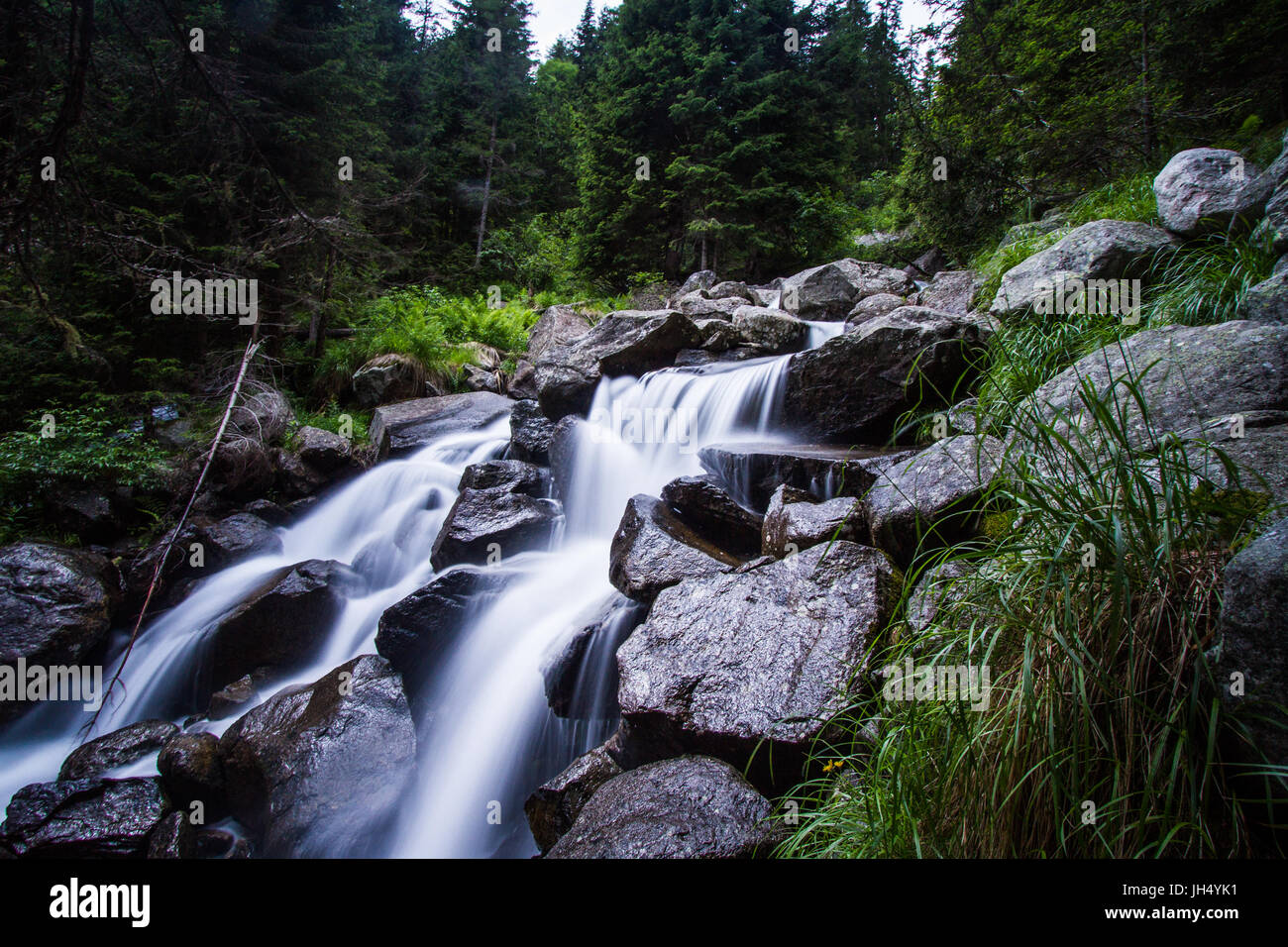 Alberi lago di montagna -Fotos und -Bildmaterial in hoher Auflösung – Alamy