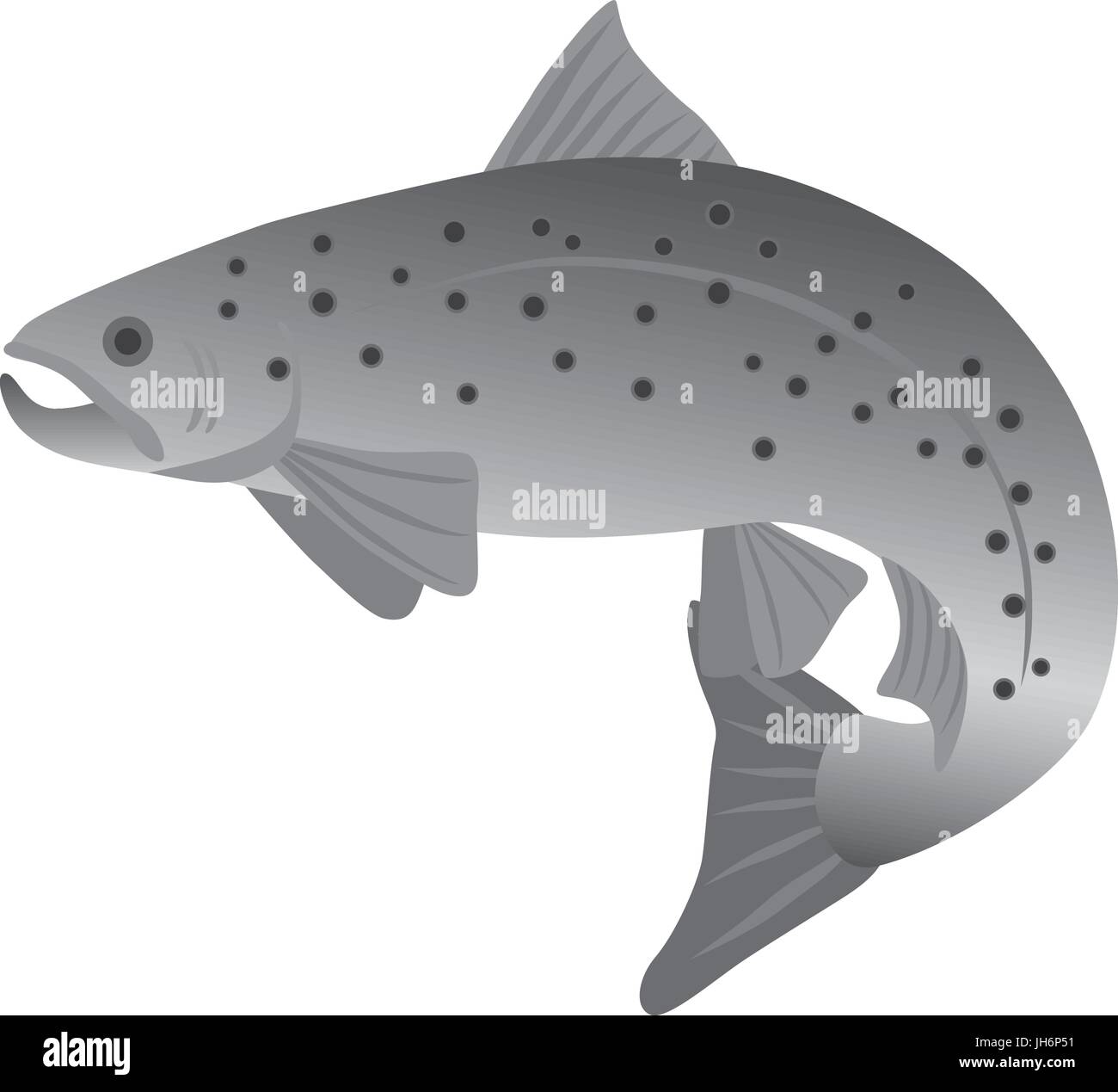 Forelle springen -Fotos und -Bildmaterial in hoher Auflösung – Alamy