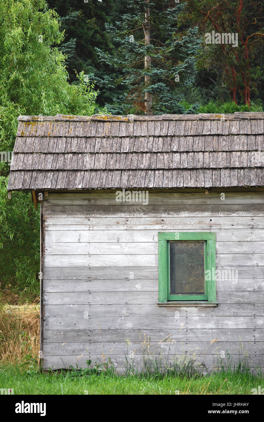 Zeder schuppen -Fotos und -Bildmaterial in hoher Auflösung – Alamy