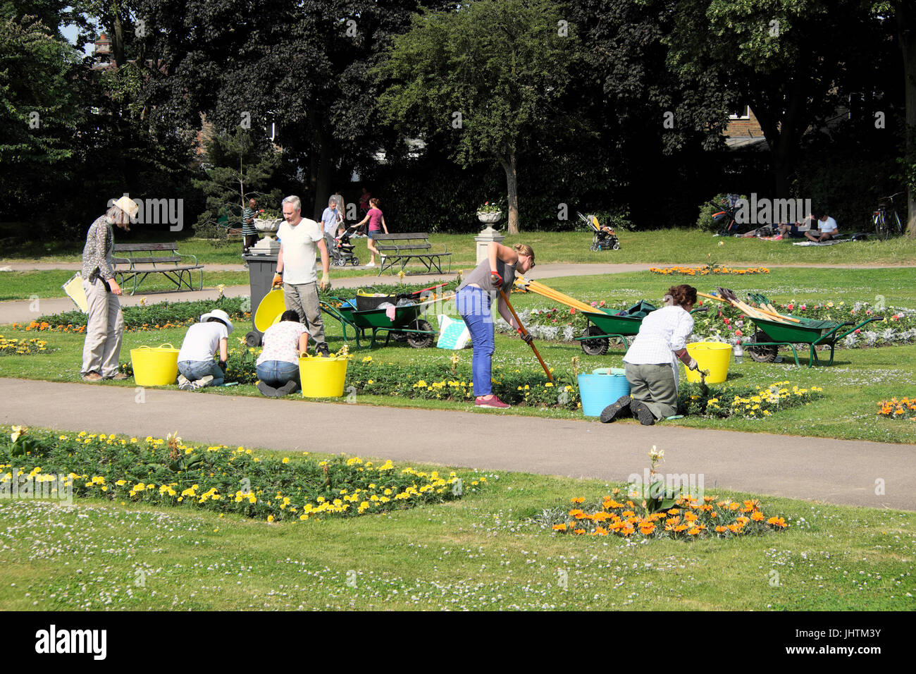 William morris garden -Fotos und -Bildmaterial in hoher Auflösung – Alamy