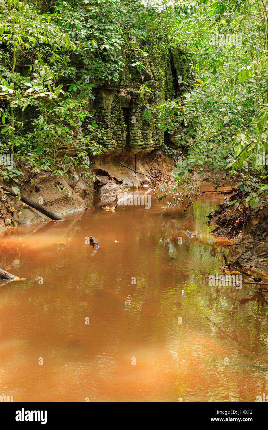 Lehm felsen regenwald -Fotos und -Bildmaterial in hoher Auflösung – Alamy