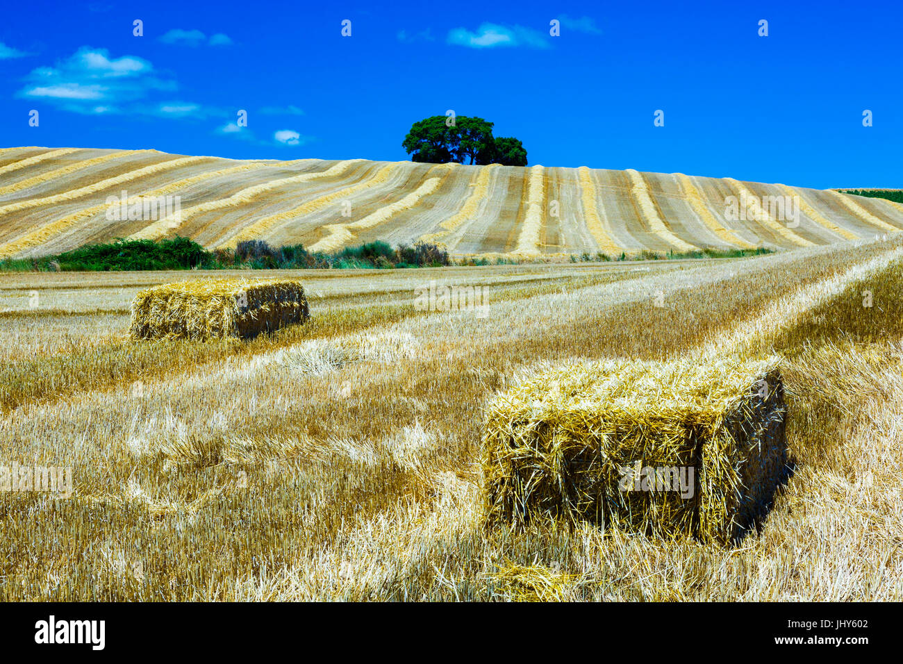 Heuballen in einer Getreide-Farm Stockfotografie - Alamy