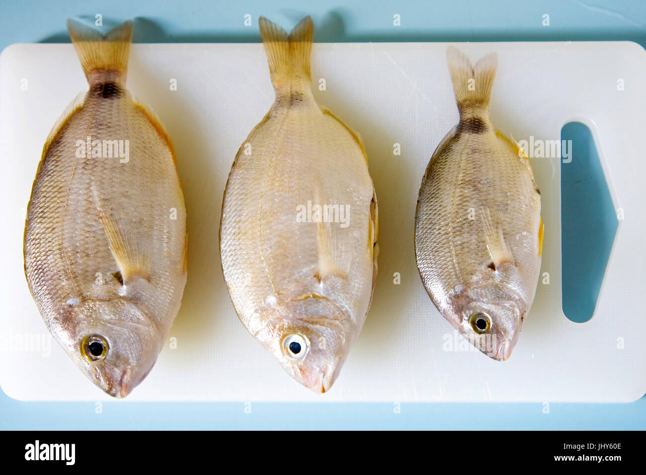 Drei fische -Fotos und -Bildmaterial in hoher Auflösung – Alamy
