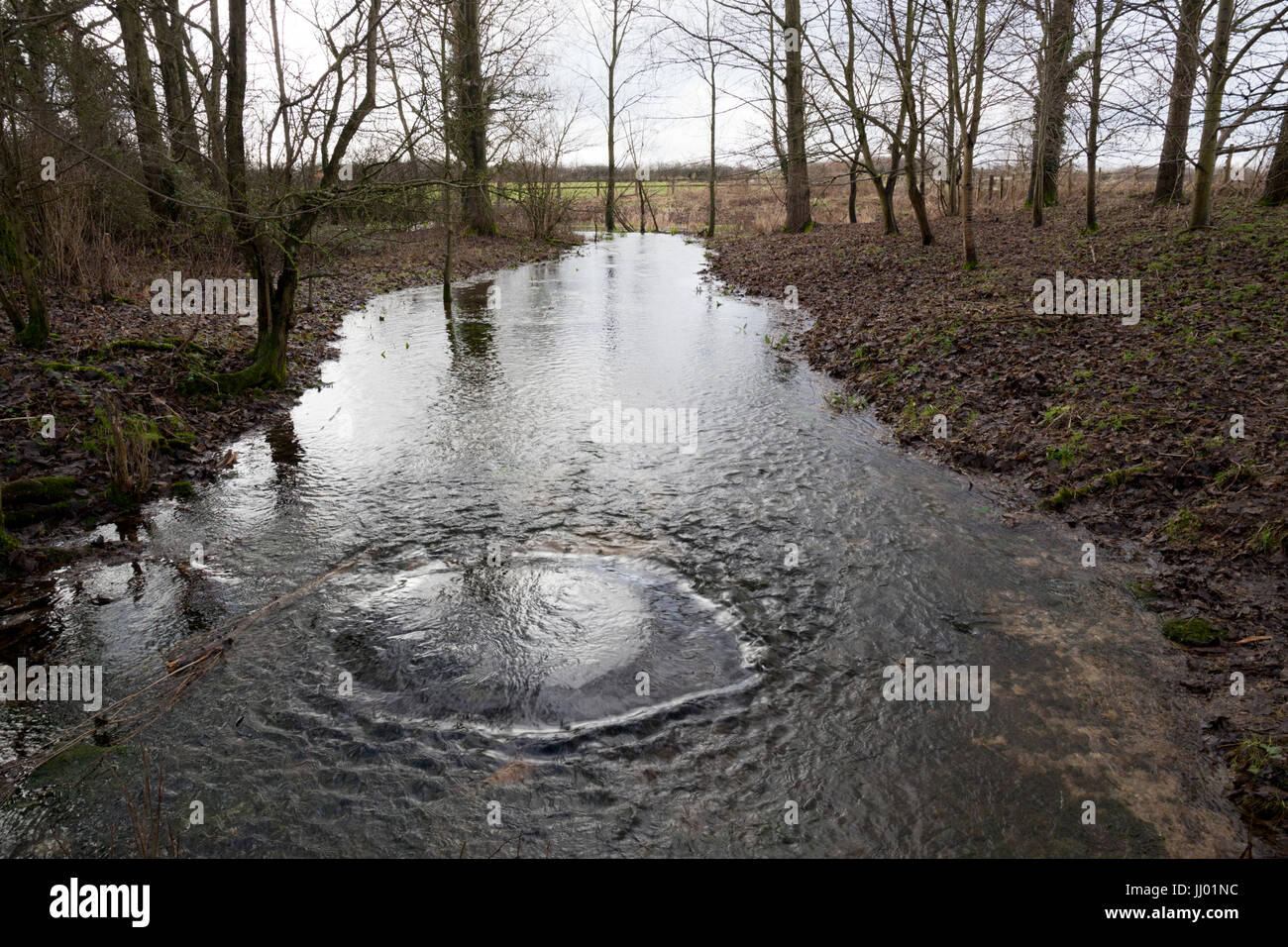 Thames Kopf (die Quelle der Themse), in der Nähe von Kemble, Cotswolds ...