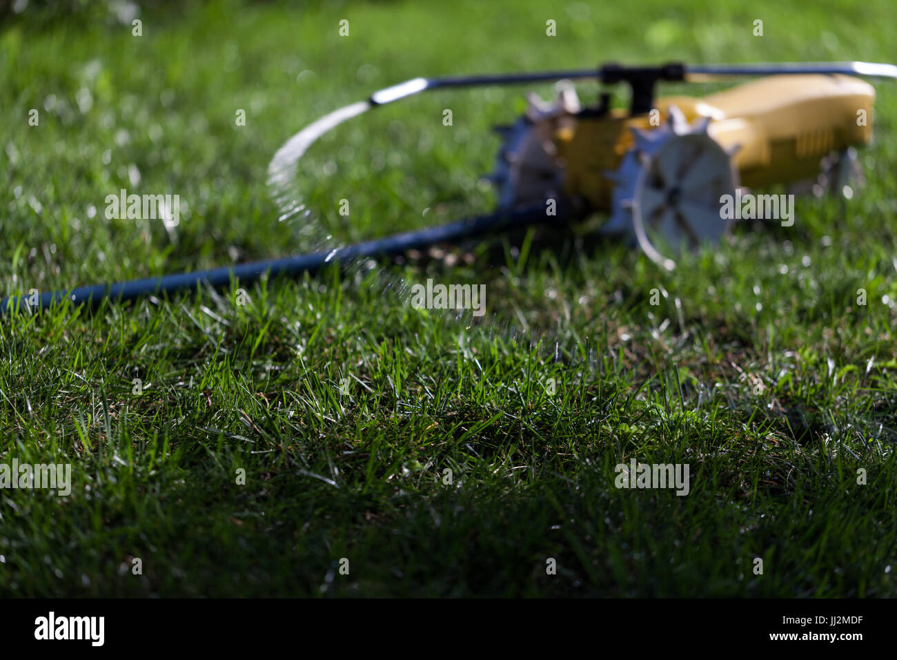 Gelber Rasen Stockfotos und -bilder Kaufen - Alamy