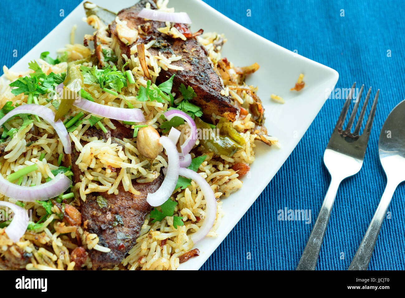 Indianer fische -Fotos und -Bildmaterial in hoher Auflösung – Alamy