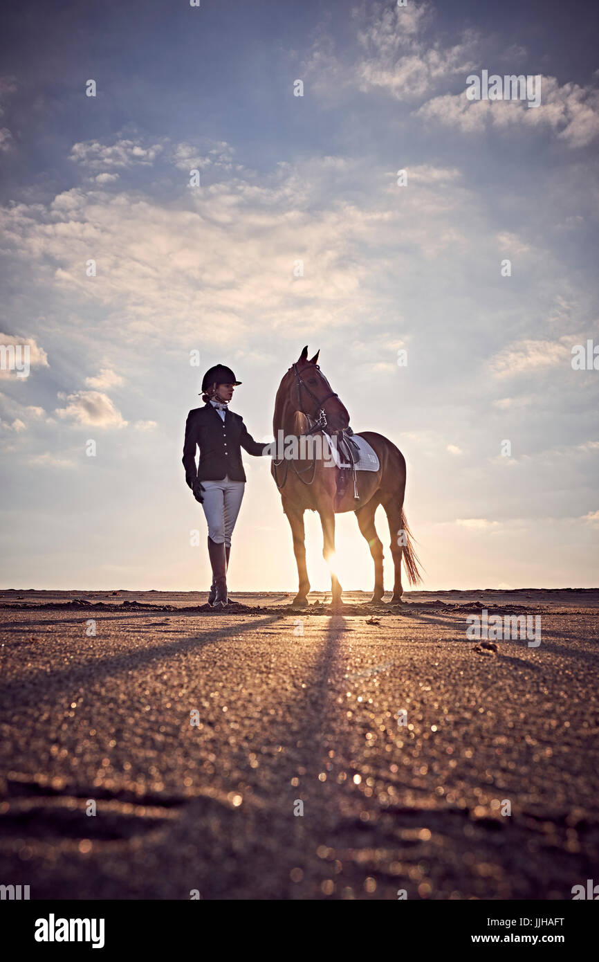 Pferd am strand -Fotos und -Bildmaterial in hoher Auflösung - Seite 3 - Alamy