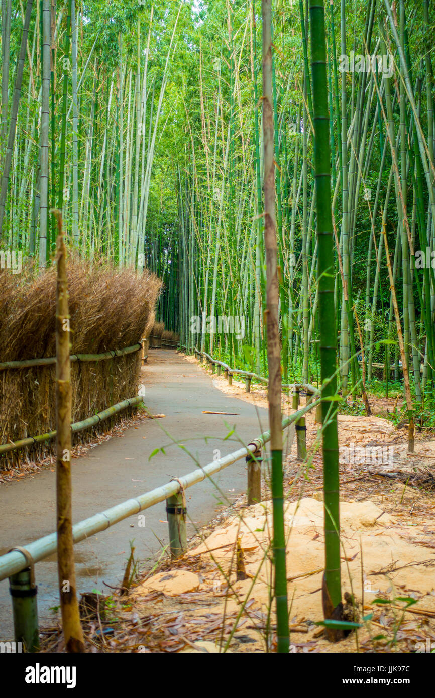Arashiyama kimono wald -Fotos und -Bildmaterial in hoher Auflösung – Alamy