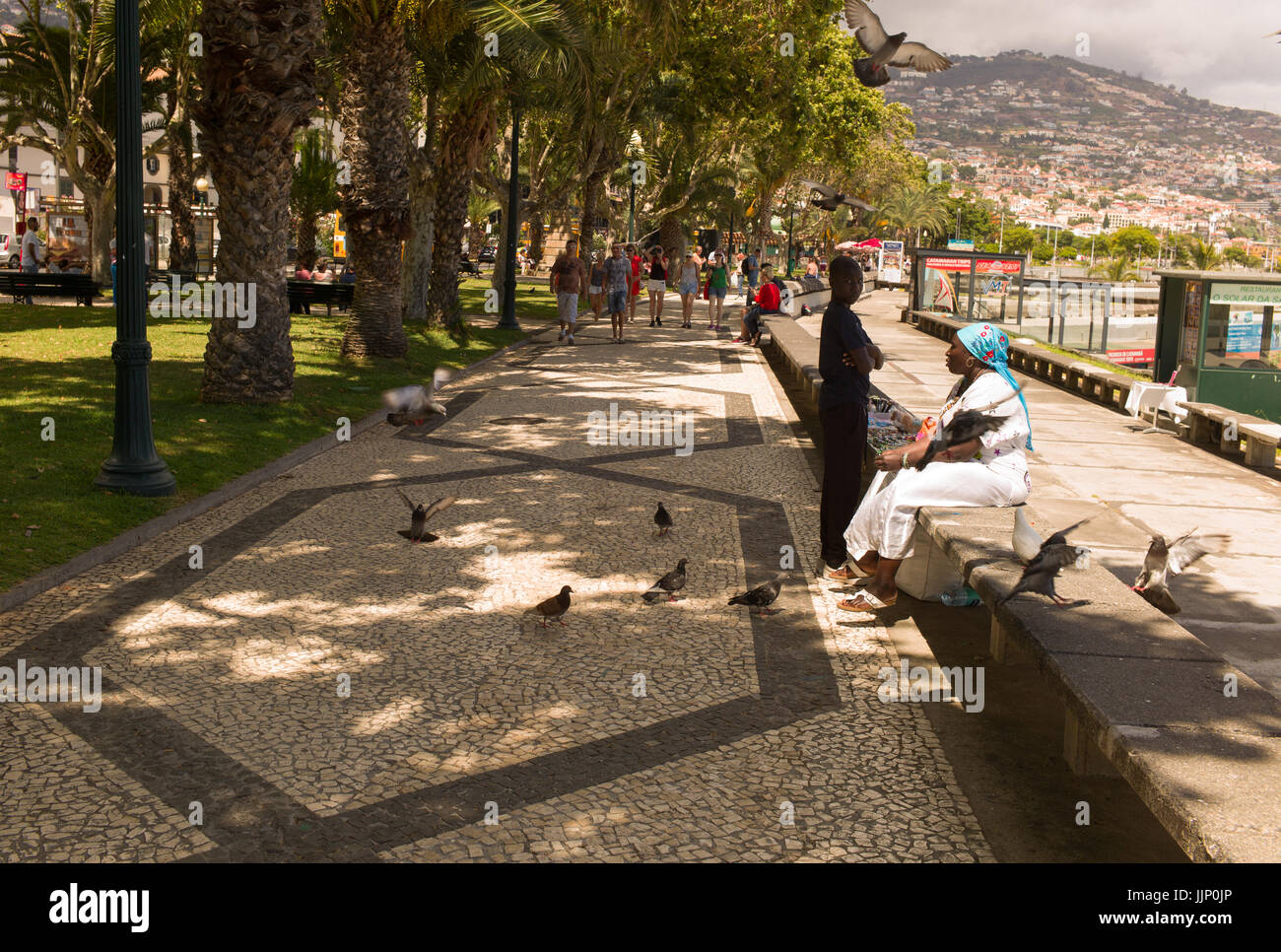 Funchal promenade -Fotos und -Bildmaterial in hoher Auflösung – Alamy