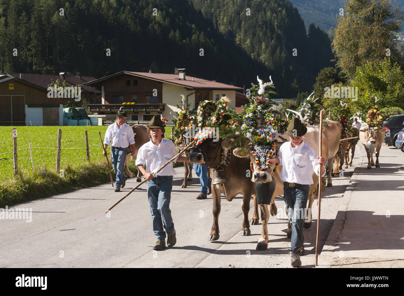 Almabtrieb Festival Stockfotos und -bilder Kaufen - Alamy