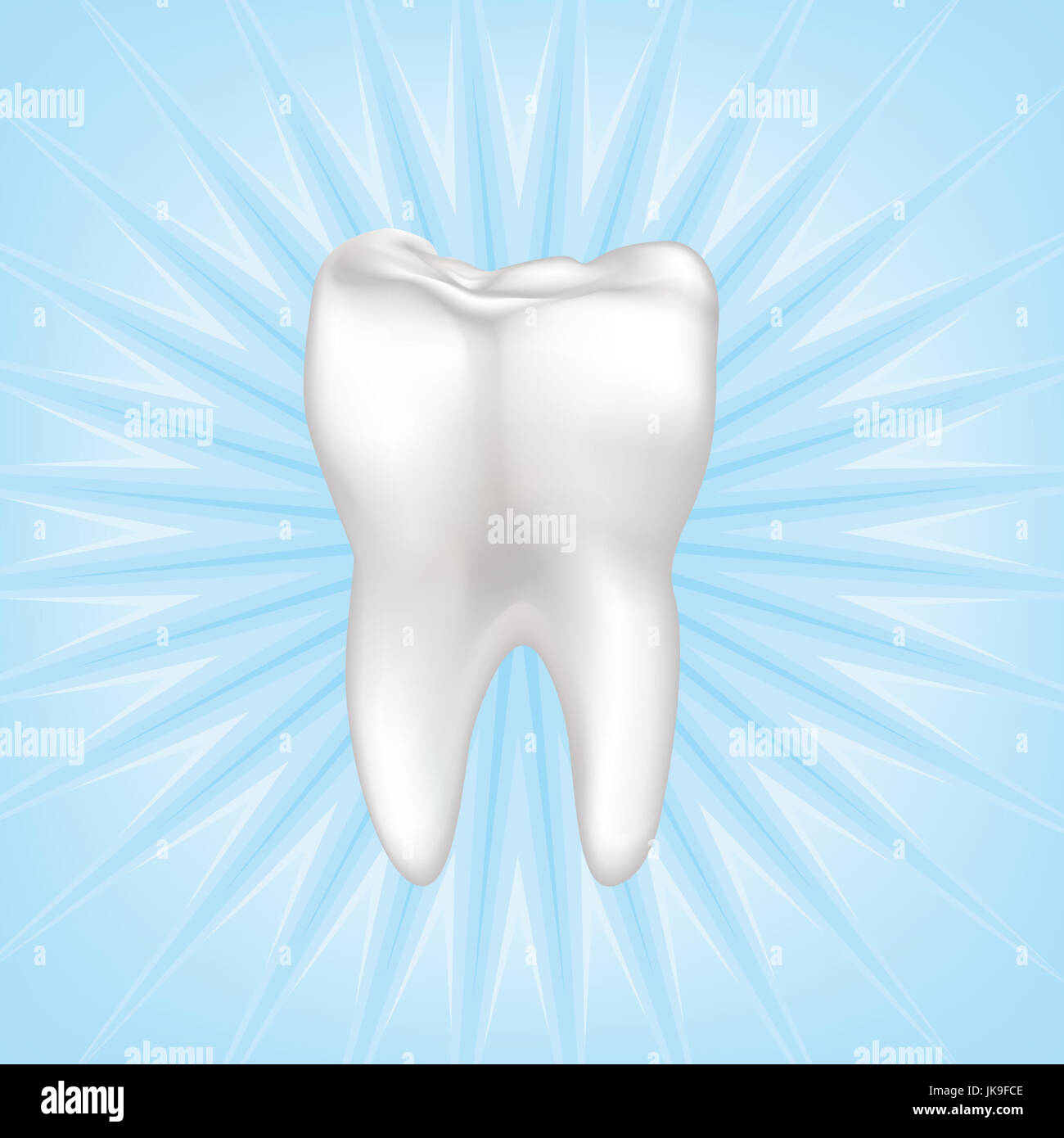 Zahn isoliert. Zähne weiß unterzeichnen. Dental Medical Illustration ...