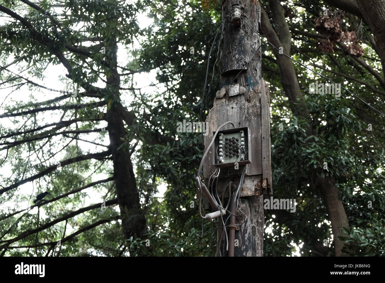 Alter Telefonmast Stockfotos und -bilder Kaufen - Alamy