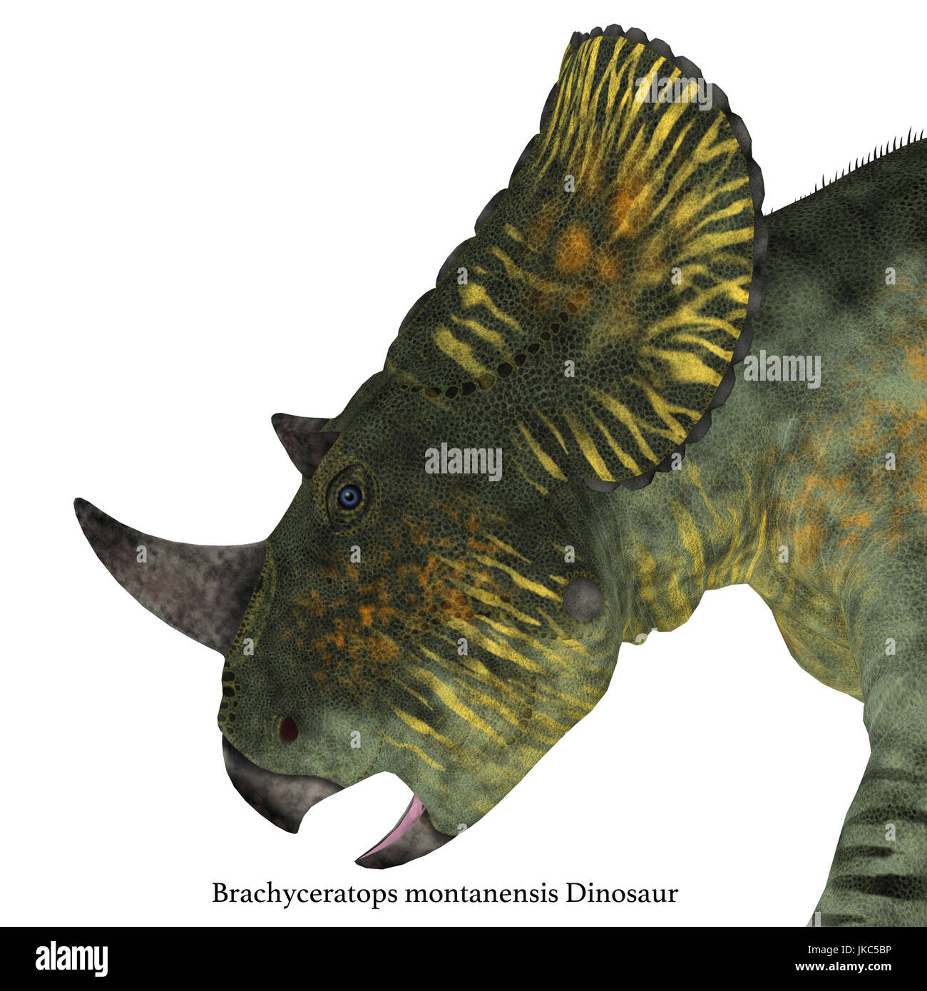 Jungtiere ist ein Pflanzenfresser Exklusivmerkmal Dinosaurier, der in ...