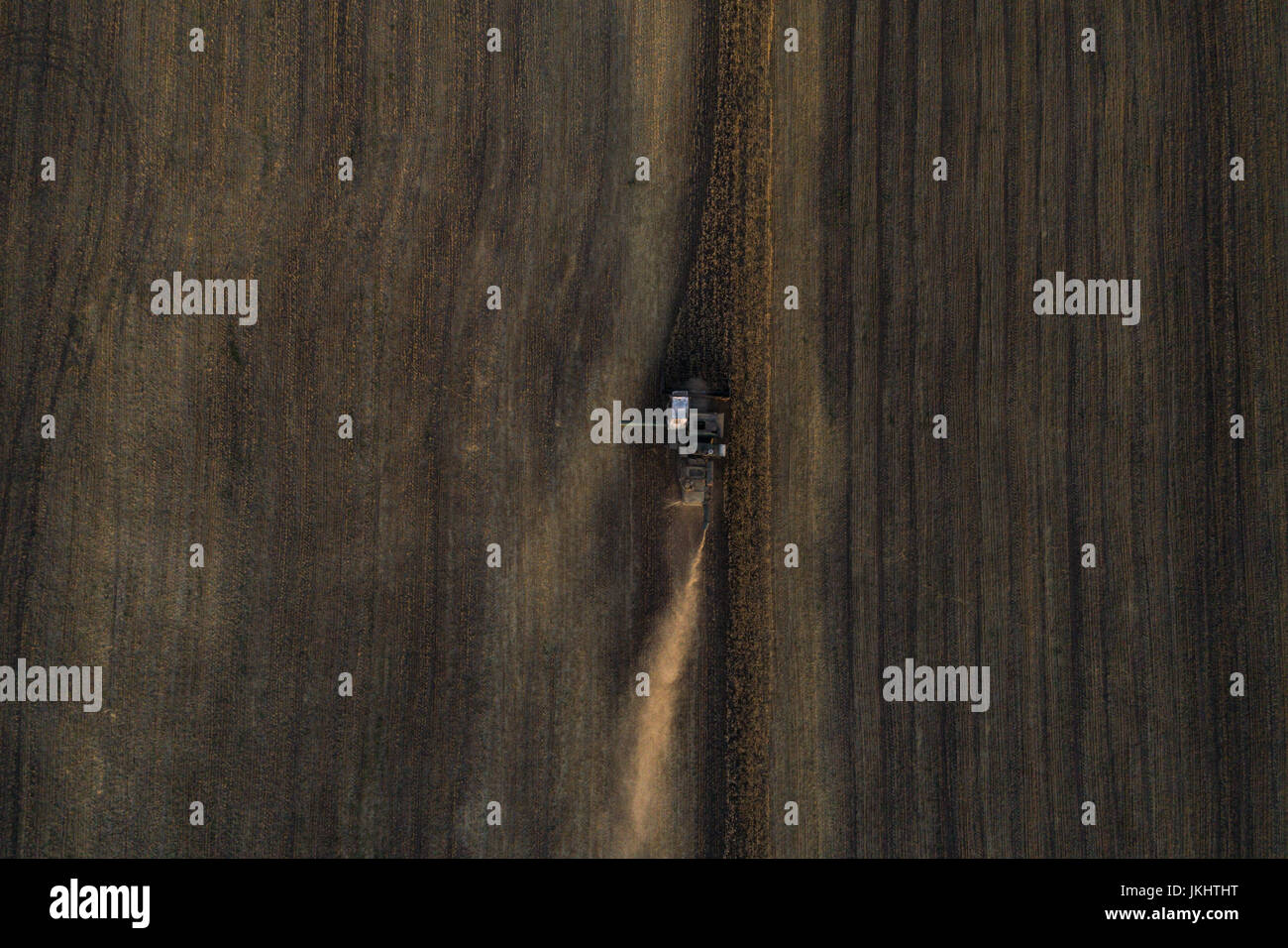 Harvester-Maschine im Bereich tätig. Kombinieren Sie Mähdrescher ...