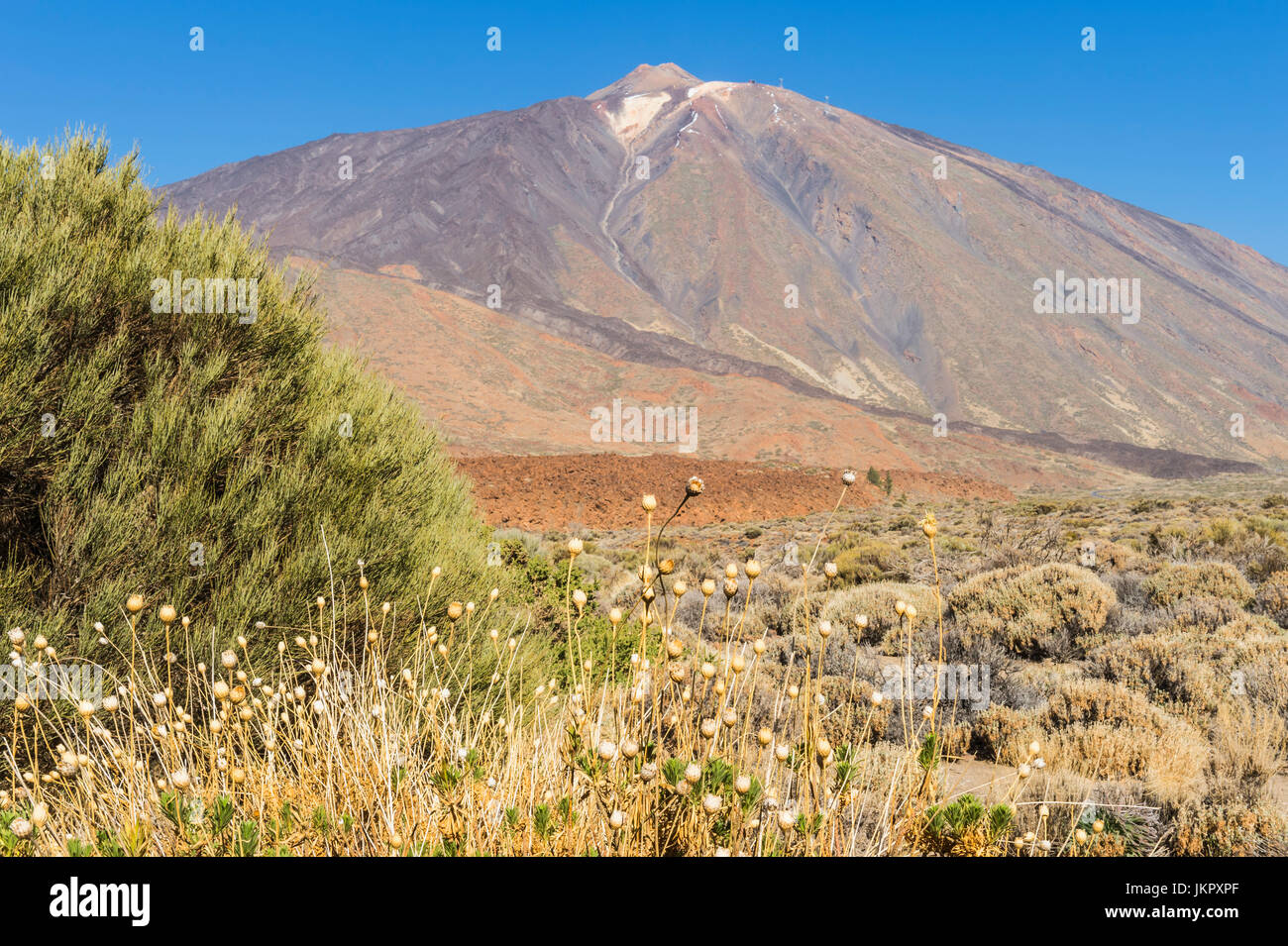 Mount Teide Vulkan gesehen von Roques de Garcia, Nationalpark Teide ...
