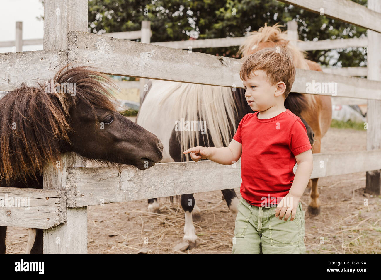 Kleinkind-junge mit seinem Finger auf Pony Pferd am Bauernhof mit ...