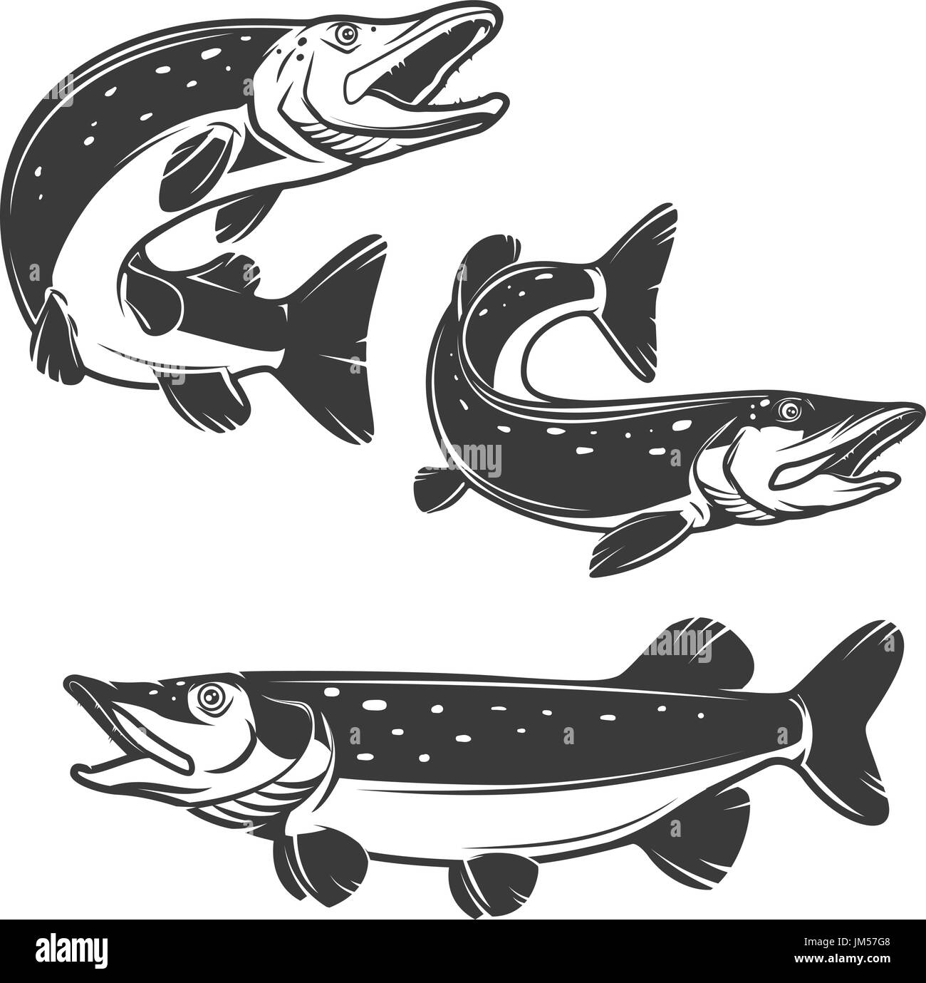 Set von Hecht Fisch Icons isoliert auf weißem Hintergrund. Design ...